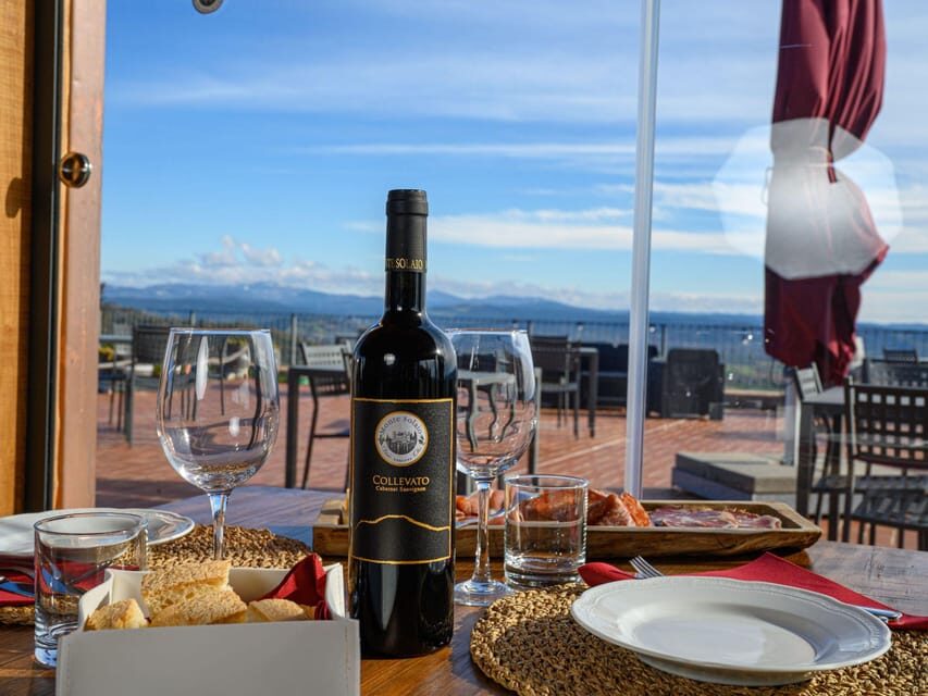 Wine Tasting with Local Food Pairing near Livorno - The Itinerary in Detail