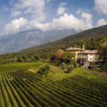 Wine tour at Borgo dei Posseri: wine, nature, and authenticity - Breakdown of the Itinerary