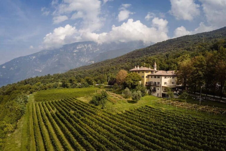 Wine tour at Borgo dei Posseri: wine, nature, and authenticity - Breakdown of the Itinerary