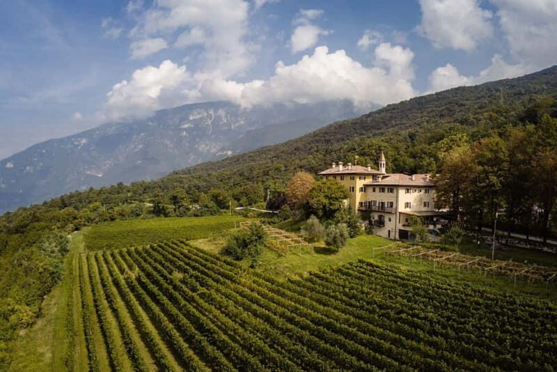 Wine tour at Borgo dei Posseri: wine, nature, and authenticity - Breakdown of the Itinerary