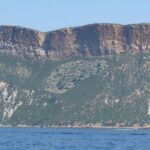 Wine Tour Bandol & Cassis from Marseille - What to Expect at Each Stop