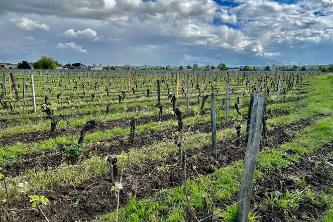Wine Tour - Château Labrie Saint Emilion Grand Cru - Firsthand Impressions From Past Visitors