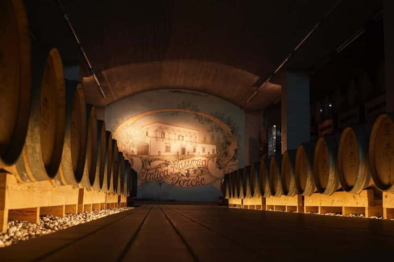 Wine Tour "Discovery Jarche" - Practical Tips for Visitors