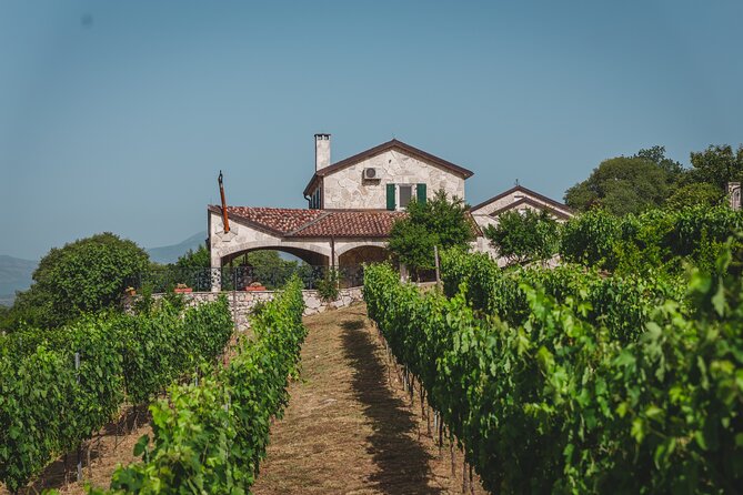 Wine tour- Family winery visit, food tasting & Skadar Lake boat cruise - Exploring Montenegro’s Hidden Charms: A Detailed Look at the Wine, Lake, and Local Life Tour