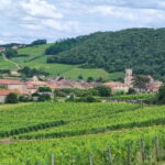 Wine tour in Pouilly Fuissé - Introduction: A Genuine Burgundy Journey