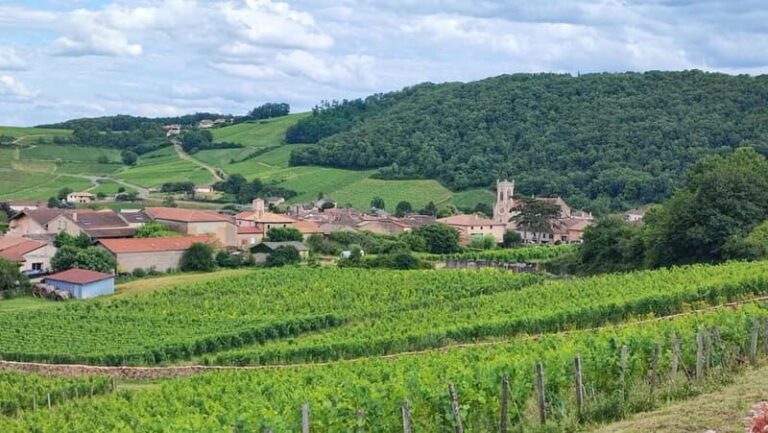 Wine tour in Pouilly Fuissé - Introduction: A Genuine Burgundy Journey