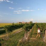 Wine Tour in the Hemingway lands close to Caorle Lagoon - The Value for Travelers