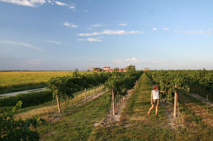 Wine Tour in the Hemingway lands close to Caorle Lagoon - The Value for Travelers