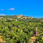 Wine Tour: On the Way to Chateauneuf du Pape - An In-Depth Look at the Wine Tour Experience