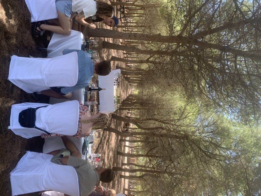 Wine Tour through the vineyards with tasting by Salt Lake - Wine Tasting & Local Delights