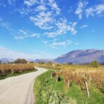 Wine Tour with private driver - Who Would Love This Tour?