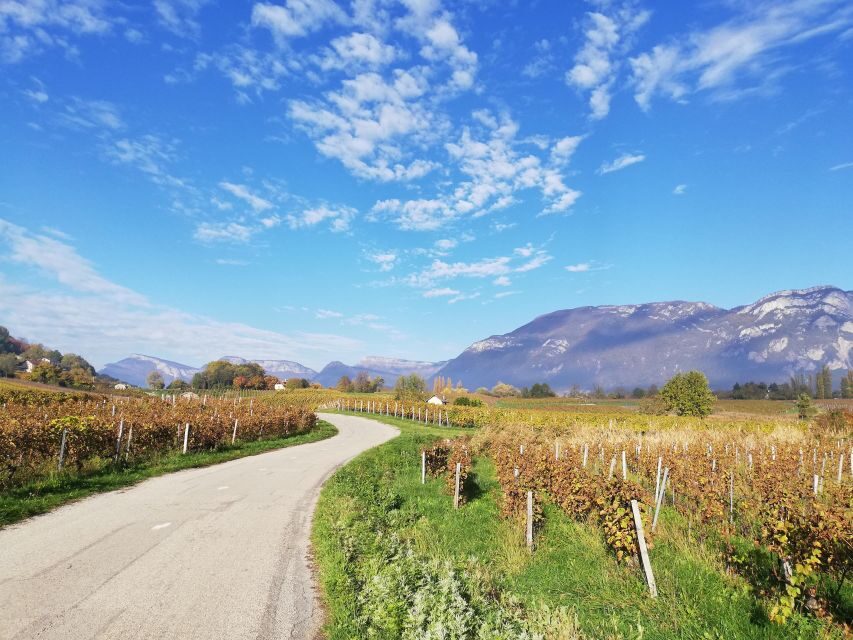 Wine Tour with private driver - Who Would Love This Tour?