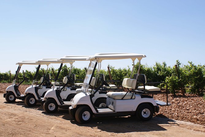 Wine tourism: Wine tasting - A Fun and Flavorful Wine Tasting Adventure in León