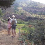 Wine Trekking in Salina: Walk and Tasting of Local Products - What to Expect from the Wine Trekking in Salina