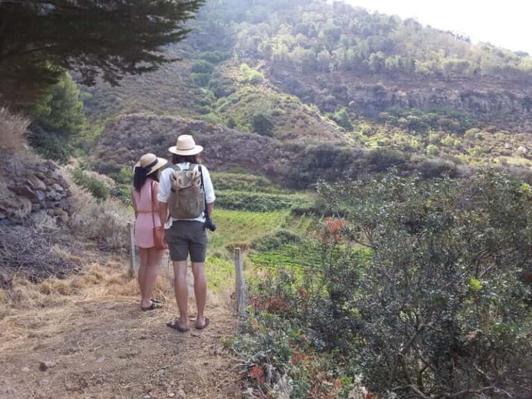 Wine Trekking in Salina: Walk and Tasting of Local Products - What to Expect from the Wine Trekking in Salina