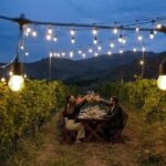 Winemaker's Table: Areni Vineyards - The Itinerary Breakdown