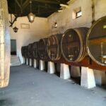Winery, Tastings & 4WD Vineyards: Half-Day Trip from Lisbon - The Itinerary: What Youll Experience