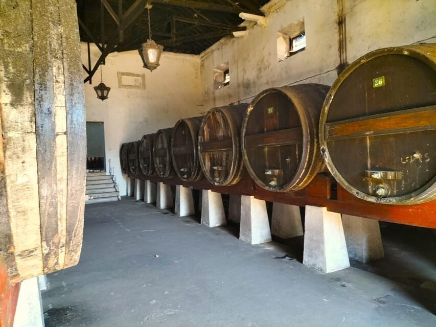 Winery, Tastings & 4WD Vineyards: Half-Day Trip from Lisbon - The Itinerary: What Youll Experience