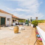 Winery, Tastings & 4WD Vineyards Ride, Half Day Trip from Lisbon - How the Experience Feels in Practice