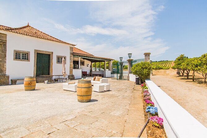 Winery, Tastings & 4WD Vineyards Ride, Half Day Trip from Lisbon - How the Experience Feels in Practice