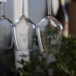 Winery tour and tasting of Sicilian organic wines in Marsala - Why This Tour Works Well