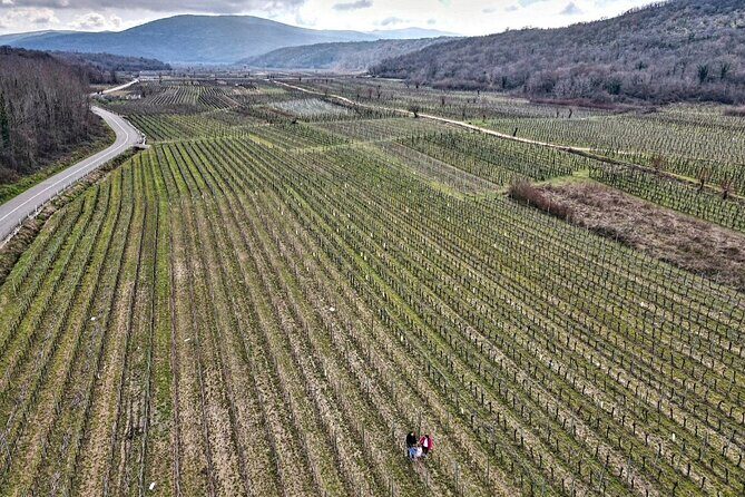 Winery Tour and Tasting with the Sommelier in KRK - The Wines and Food Pairings