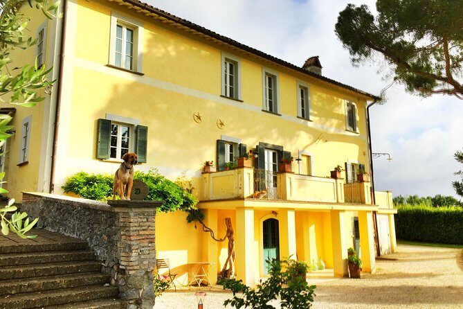 Winery tour and wine, cheese & charcuterie tasting - Details That Matter