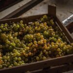 Winery Tour and Wine Tasting in Montepulciano d'Abruzzo - Practical Details