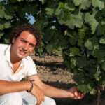 Winery tour in Marsala with wine tasting and local products - The Taste of Sicily: Food, Wine, and Local Products