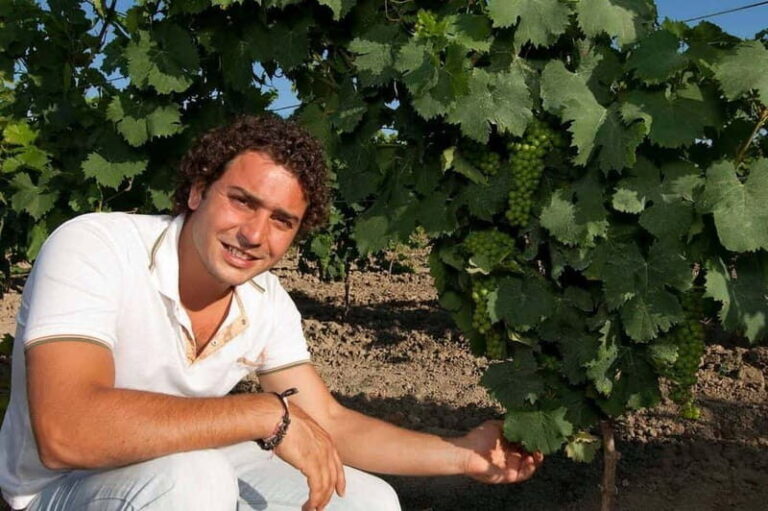 Winery tour in Marsala with wine tasting and local products - The Taste of Sicily: Food, Wine, and Local Products