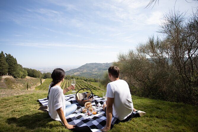 Winery Tour & picnic in the vineyard with a bottle of wine - Practical Considerations