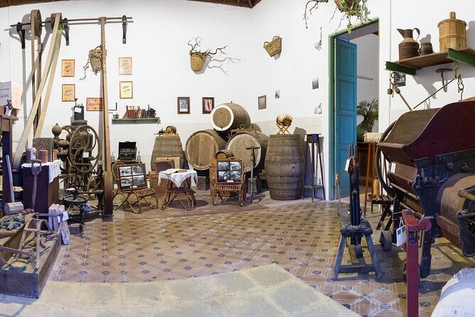 Winery Tour, Wine Museum, and Tasting in Gran Canaria - In The Sum Up