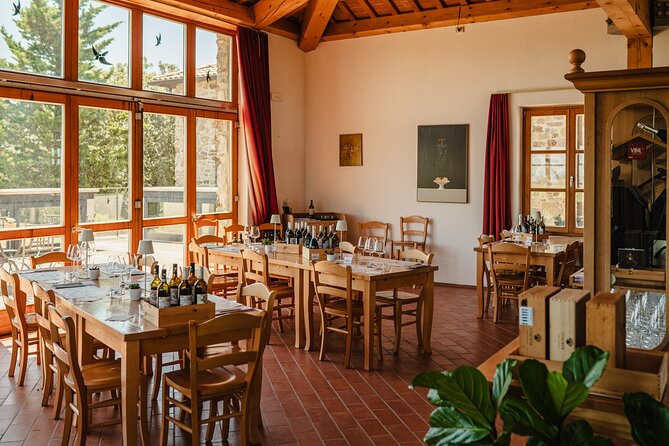 Winery tour & wine tasting in Montalcino - Discovering a Winery Tour & Wine Tasting in Montalcino