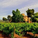 Winery Tour with Private Luxury Vehicle from Barcelona with Hotel pick up - A Closer Look at the Tour Itinerary
