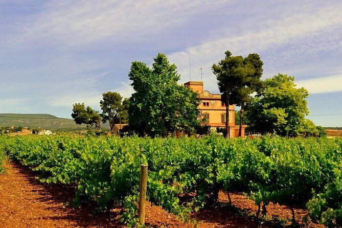 Winery Tour with Private Luxury Vehicle from Barcelona with Hotel pick up - A Closer Look at the Tour Itinerary