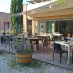 Winery Tour with Wine & Food Tasting near Riccione & Rimini - Detailed Breakdown of the Tour Experience