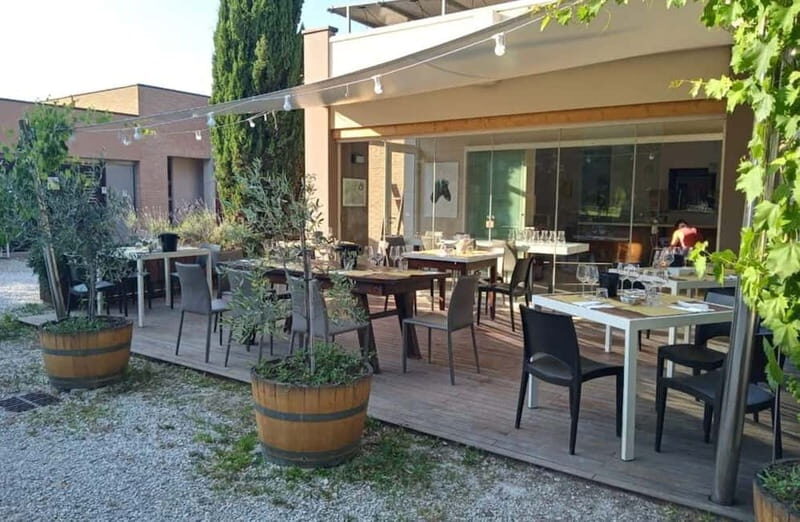 Winery Tour with Wine & Food Tasting near Riccione & Rimini - Detailed Breakdown of the Tour Experience