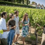 Winery Visit & Fish Market Tour with Tasting from Lisbon - Discovering Palácio da Bacalhôa and Its Vineyards