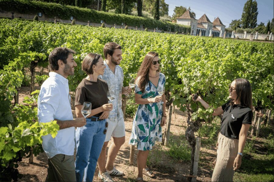 Winery Visit & Fish Market Tour with Tasting from Lisbon - Discovering Palácio da Bacalhôa and Its Vineyards