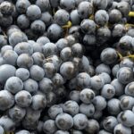 Winery Visit on Parma Hills & Wine Tasting with Food Platter - The Itinerary: What You Can Expect