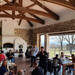 Winery visit & Wine Tasting: half-day tour - An Introduction to Romania’s Wine Region: Dealu Mare
