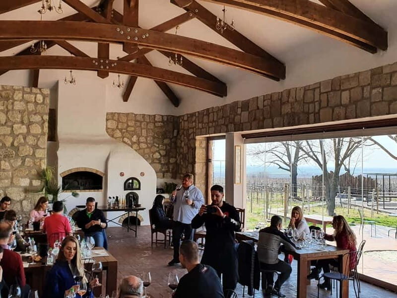 Winery visit & Wine Tasting: half-day tour - An Introduction to Romania’s Wine Region: Dealu Mare