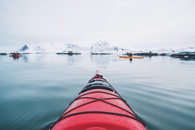 Winter Half Day Kayak Tour - Who Should Consider This Tour?