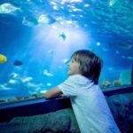 Wrocaw: 2-Hour Guided Tour for Children - Discovering the Legends and Unique Sights
