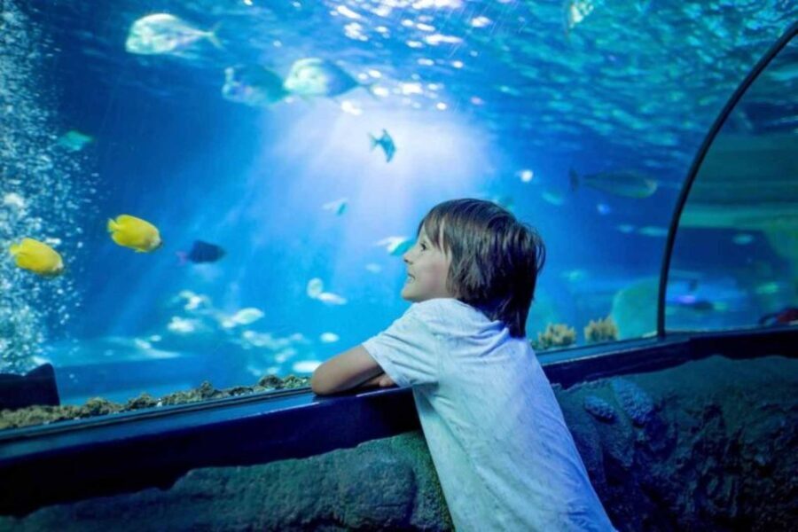 Wrocaw: 2-Hour Guided Tour for Children - Discovering the Legends and Unique Sights