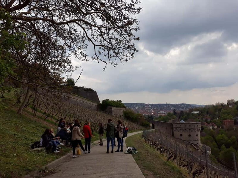 Wuerzburg: Vineyard rally with wine tasting and group dynamics - The Quality and Value of the Tour