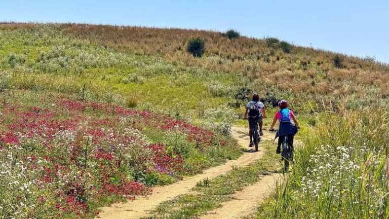 WWF E-BIKE TOUR | Riserva Naturale di Torre Salsa Con pranzo - Who is This Tour Best For?