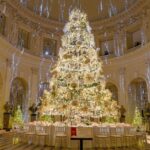 Xmas Paris & Vaux-le-Vicomte Castle Chauffeur Driven 5hrs - Scenic Drive to Château de Vaux-le-Vicomte