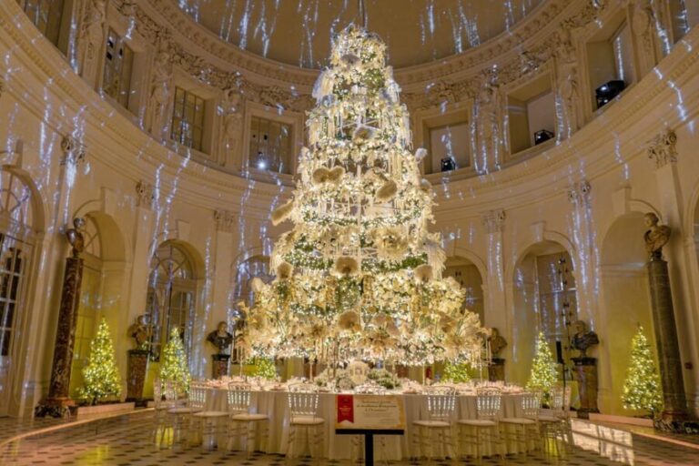 Xmas Paris & Vaux-le-Vicomte Castle Chauffeur Driven 5hrs - Scenic Drive to Château de Vaux-le-Vicomte