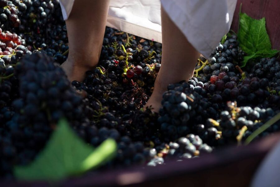 Yerevan: Khor Virap Day Trip with Mount Ararat Wine Tasting - The Itinerary in Detail